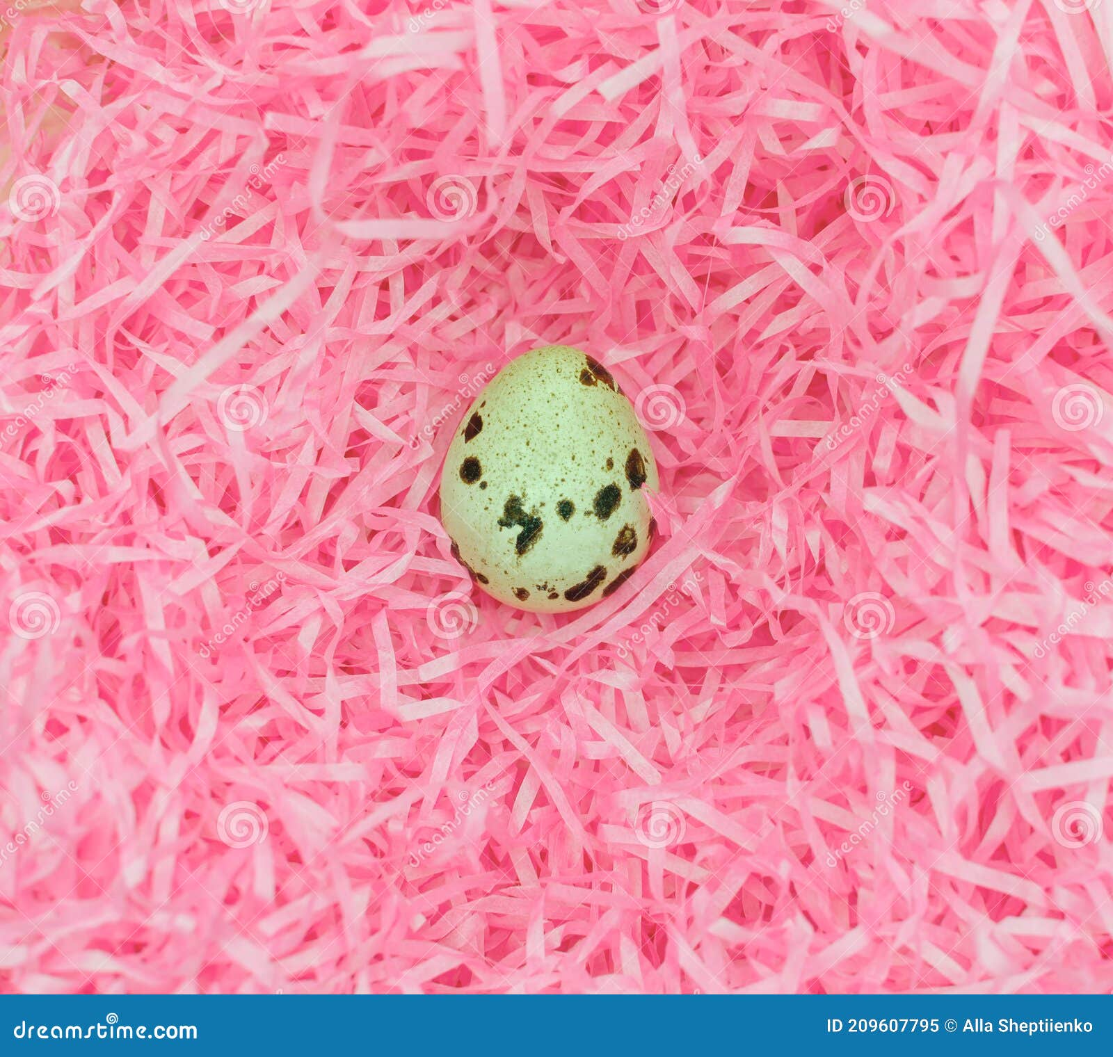 Egg in a pink nest stock image. Image of natural, nature - 209607795