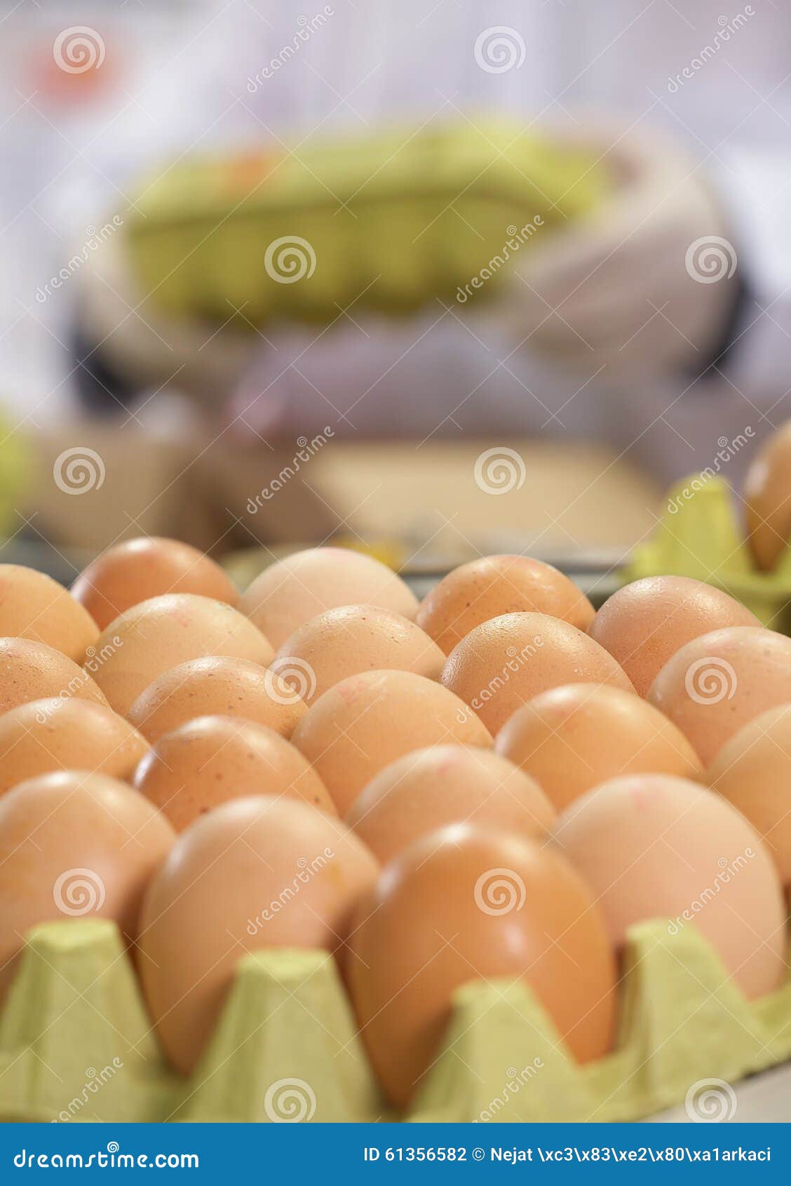 Egg production stock photo. Image of factory, construction - 61356582
