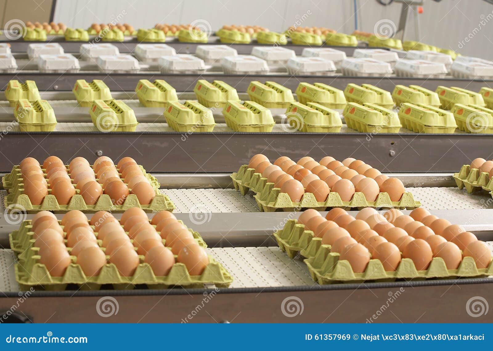 Egg production stock image. Image of construction, chicken - 61357969
