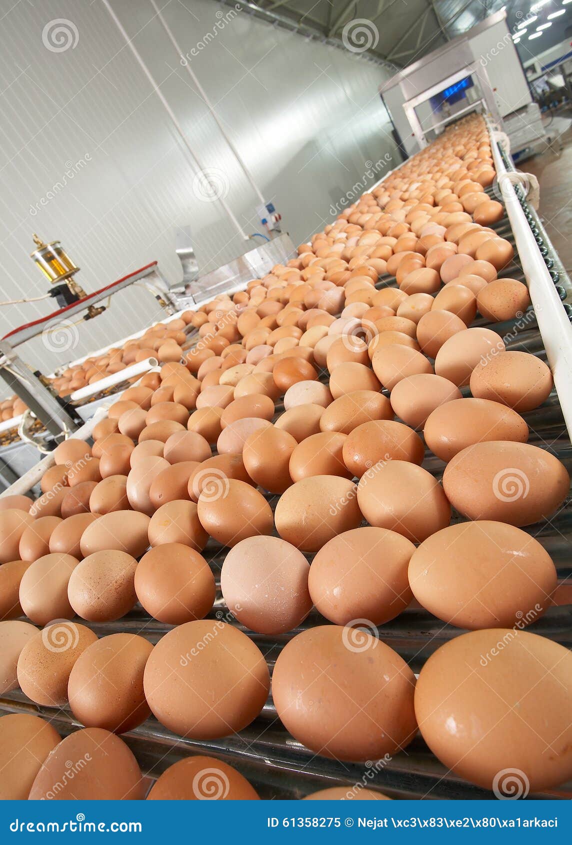 Egg production stock image. Image of security, eggs, industry - 61358275