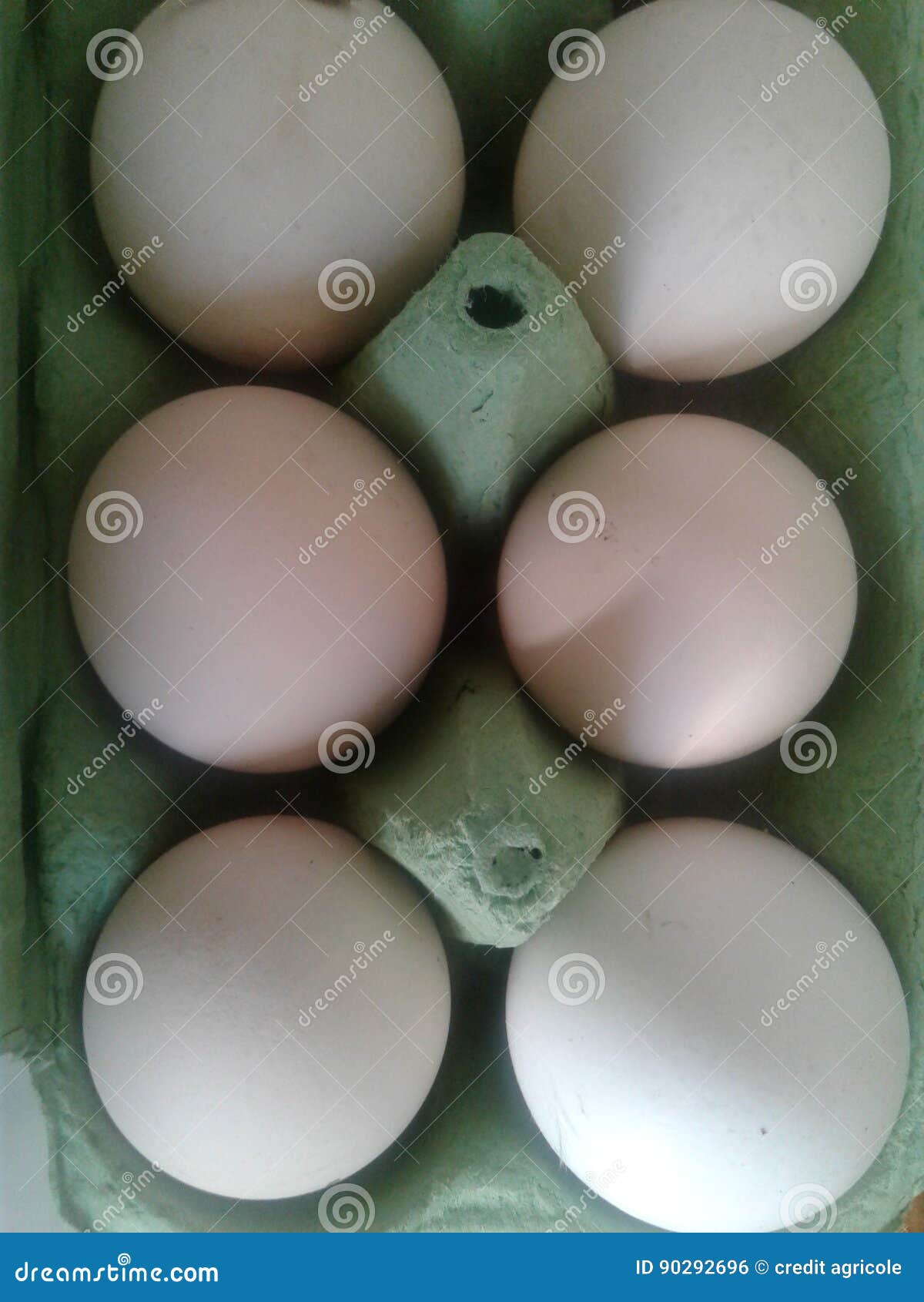 Egg stock photo. Image of influences, shell, meal, kitchen - 90292696
