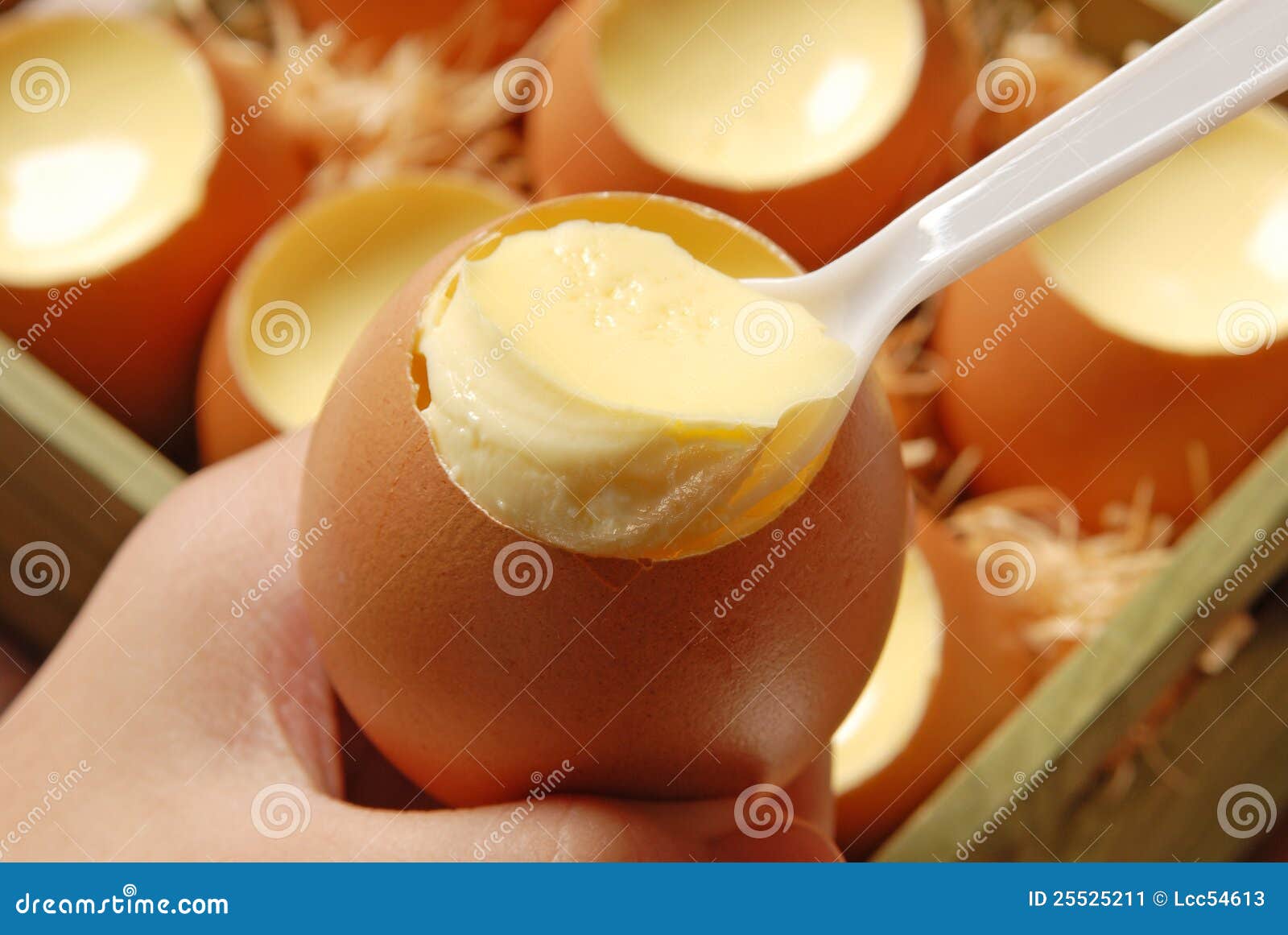 Egg Pudding stock image. Image of lunch, isolated, feed - 25525211