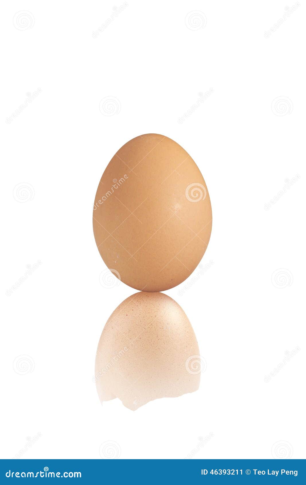 Egg with reflexion stock image. Image of crisp, food - 46393211