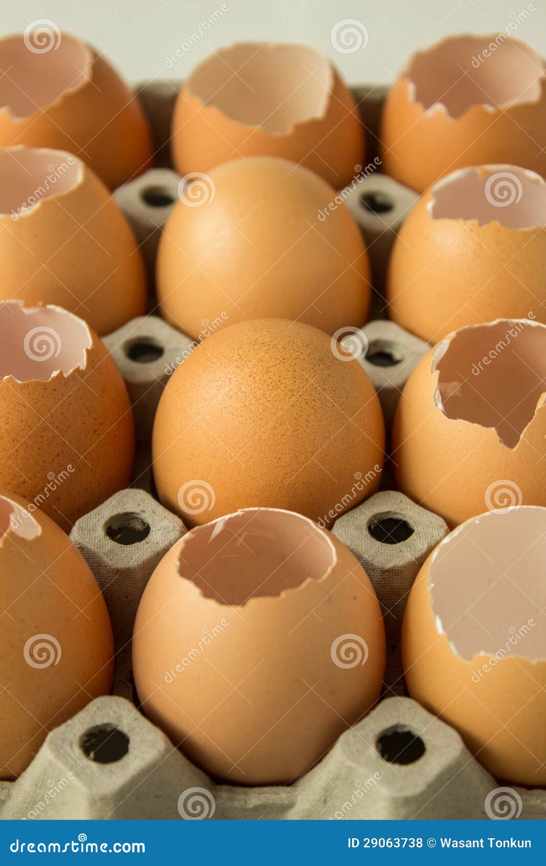Egg row stock photo. Image of stall, angle, objects, healthy - 29063738