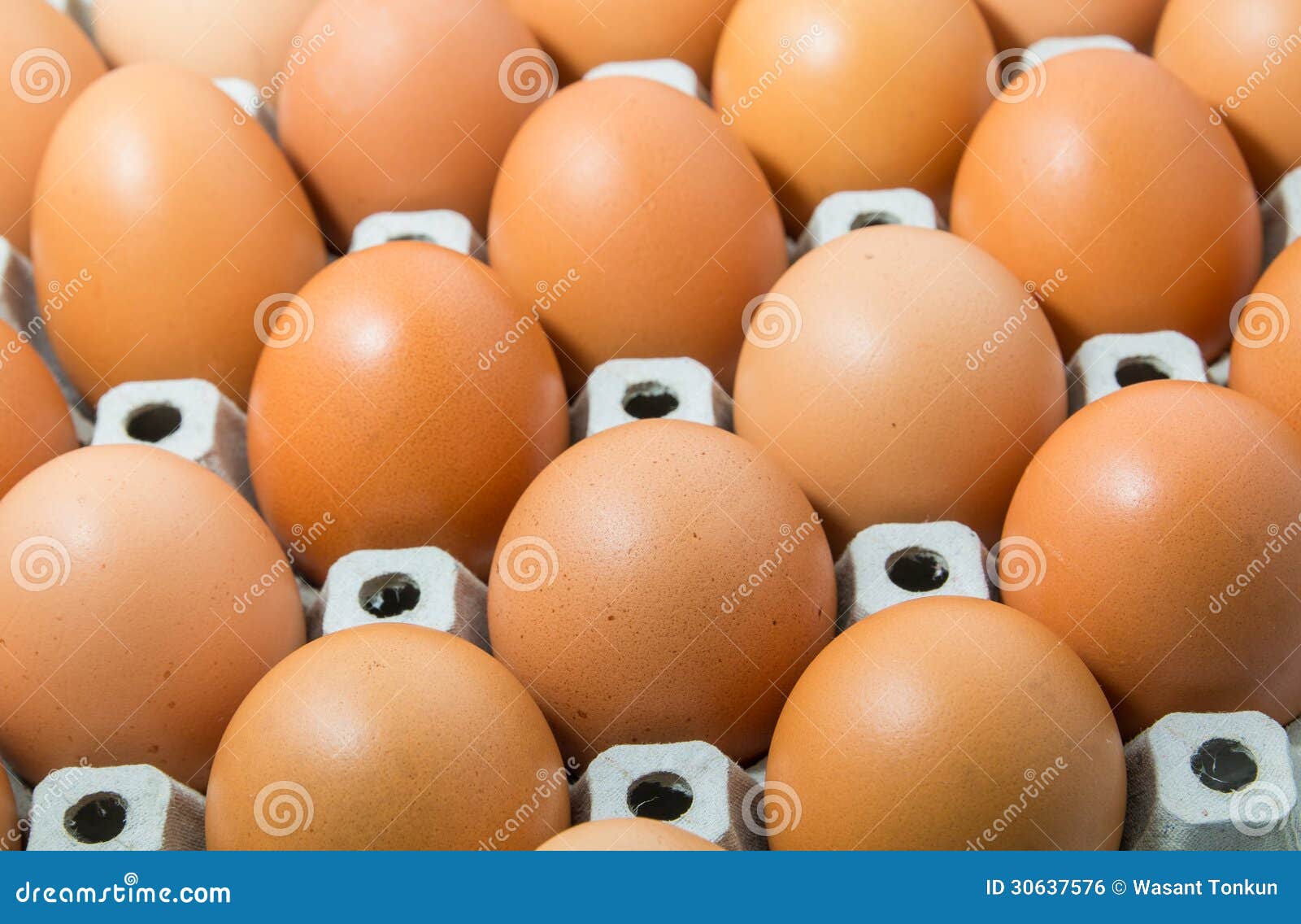 Egg is row stock photo. Image of ingredient, animal, protein - 30637576