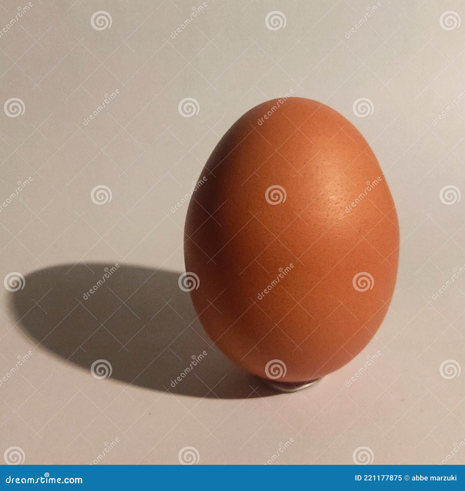 Egg and shadow stock image. Image of food, ceramic, hand - 221177875