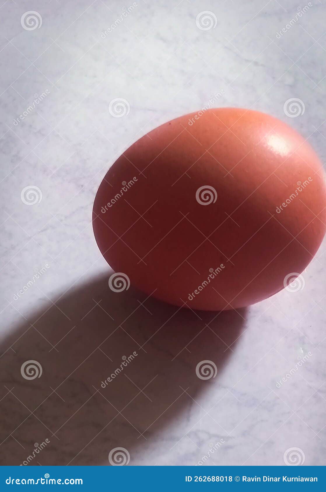 An egg and a shadow stock photo. Image of round, baya - 262688018