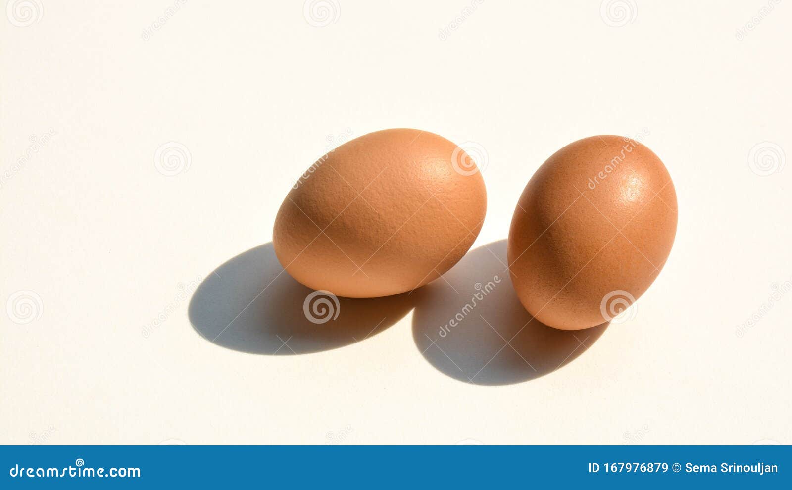 Egg and a shadow on white. stock image. Image of food - 167976879