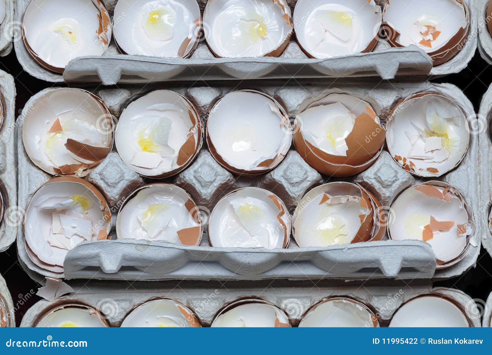 Egg-shell. stock photo. Image of scraps, calcium, carton - 11995422