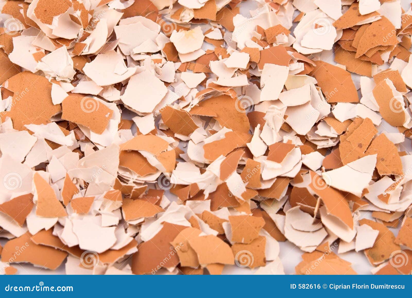 Egg Shell Background stock photo. Image of close, shell - 582616