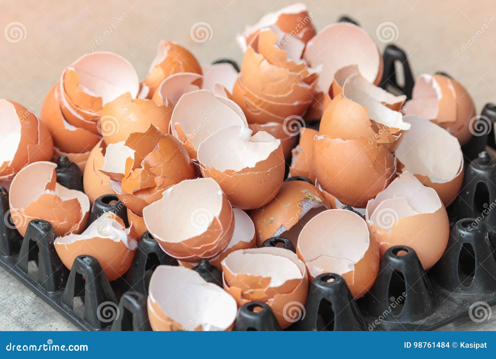 Egg shell stock photo. Image of close, compost, closeup - 98761484