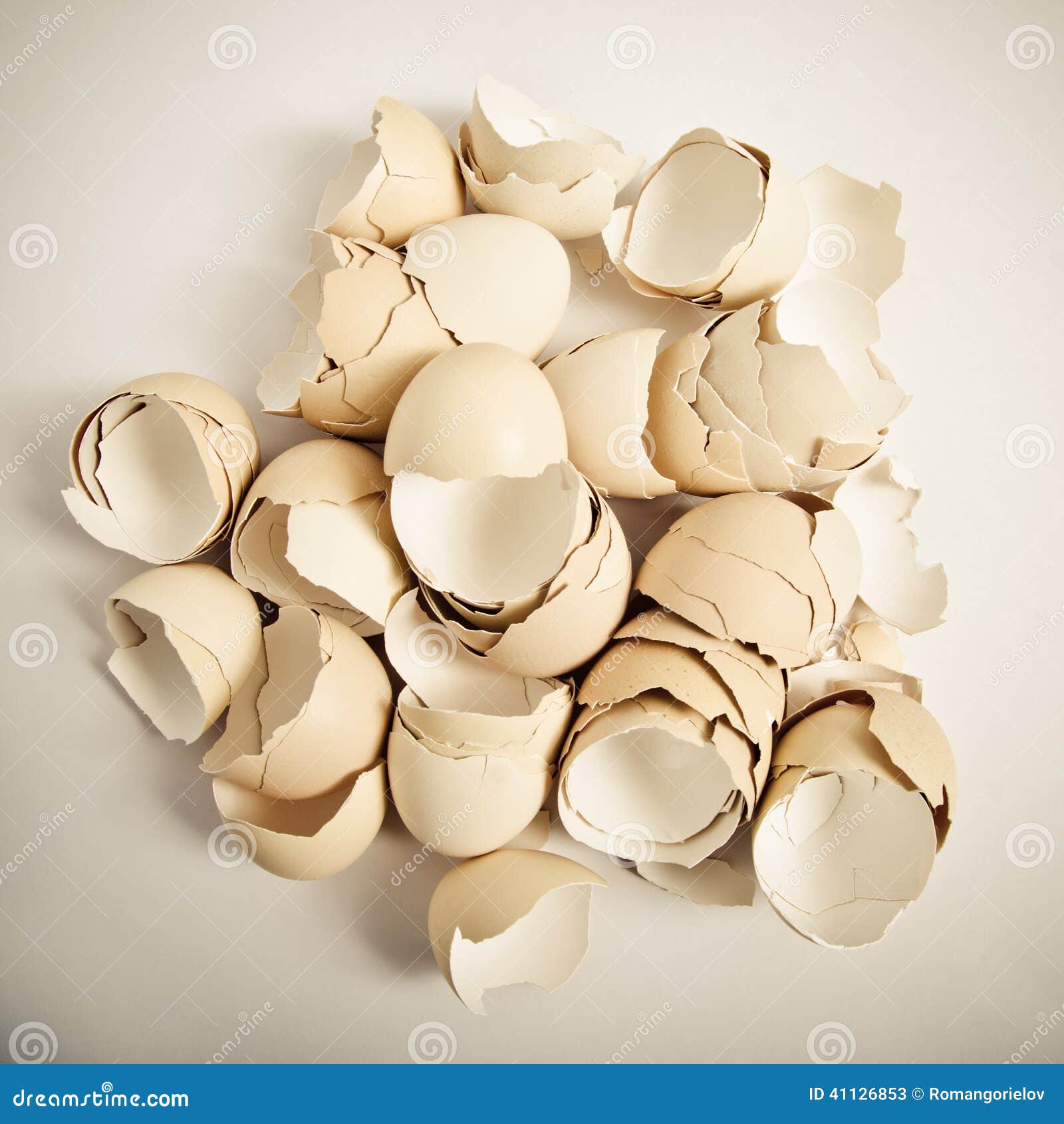 Egg shell stock image. Image of white, eggshell, chicken - 41126853