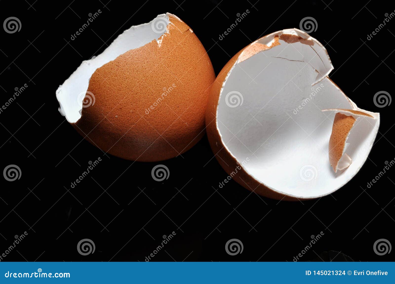 24,241 Egg Shell Background Color Stock Photos - Free & Royalty-Free ...