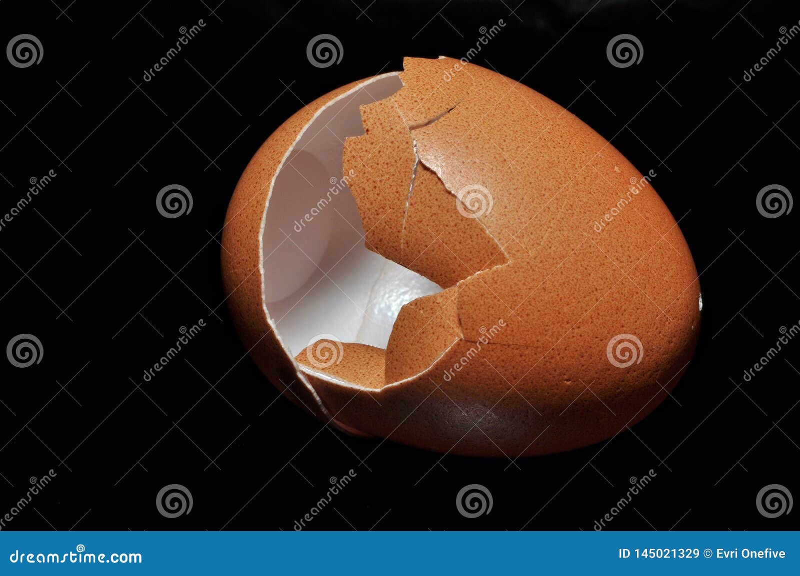 Egg Shell on Black Background Stock Image - Image of holiday, farm ...