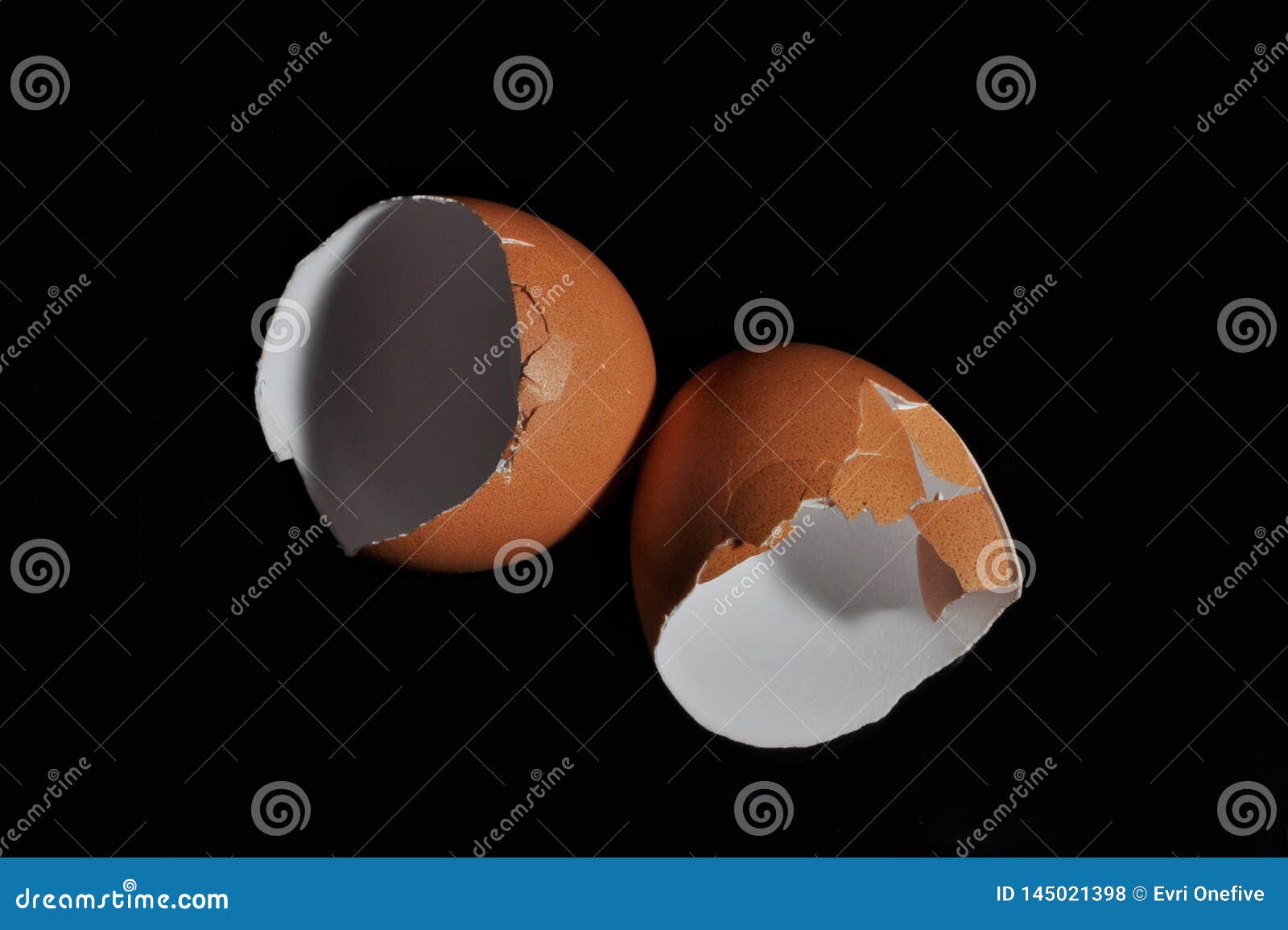 Egg Shell on Black Background Stock Photo - Image of fragile ...