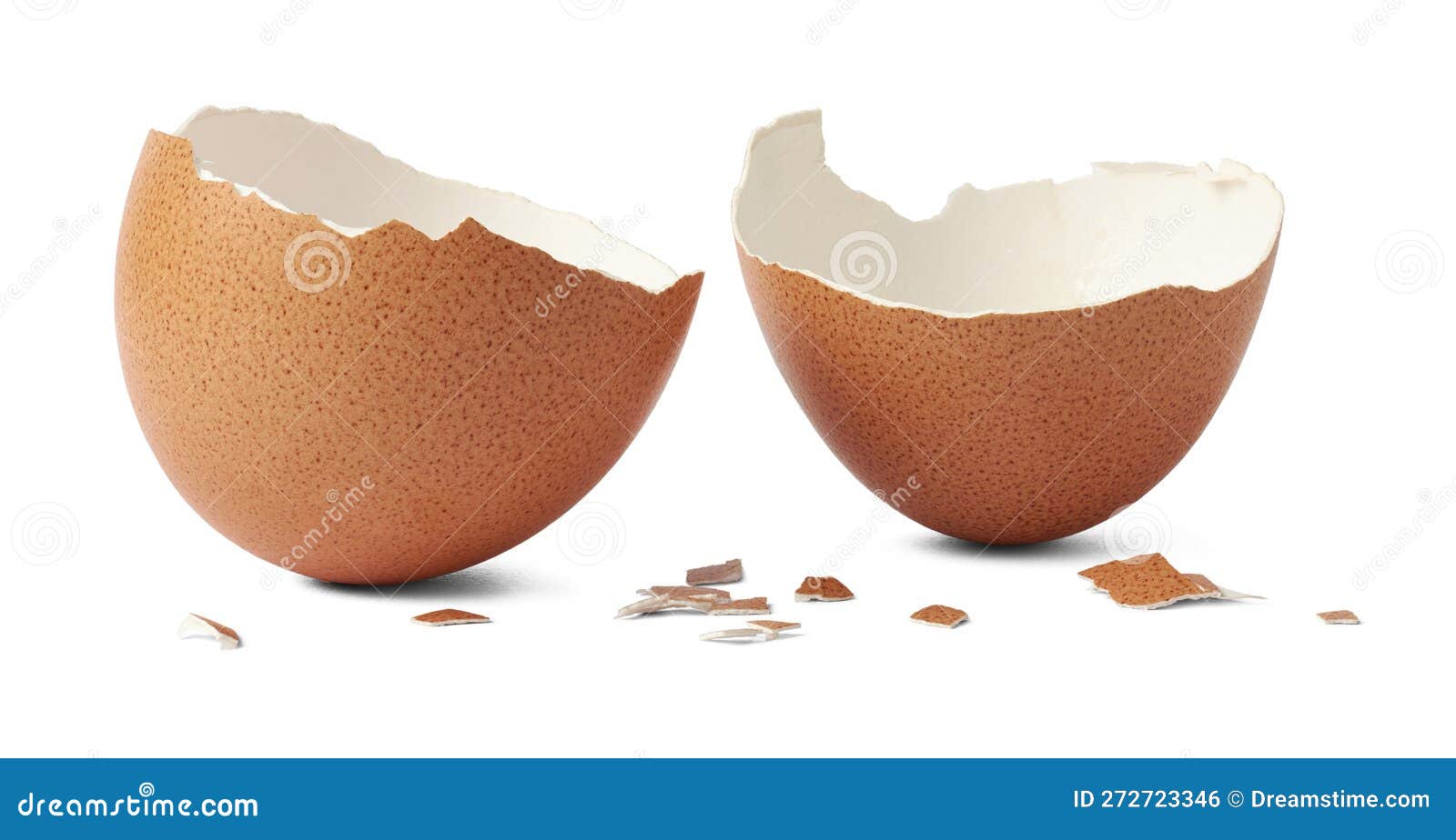 Egg Shell Broken or Crack Isolated Stock Photo - Image of animal, crush ...
