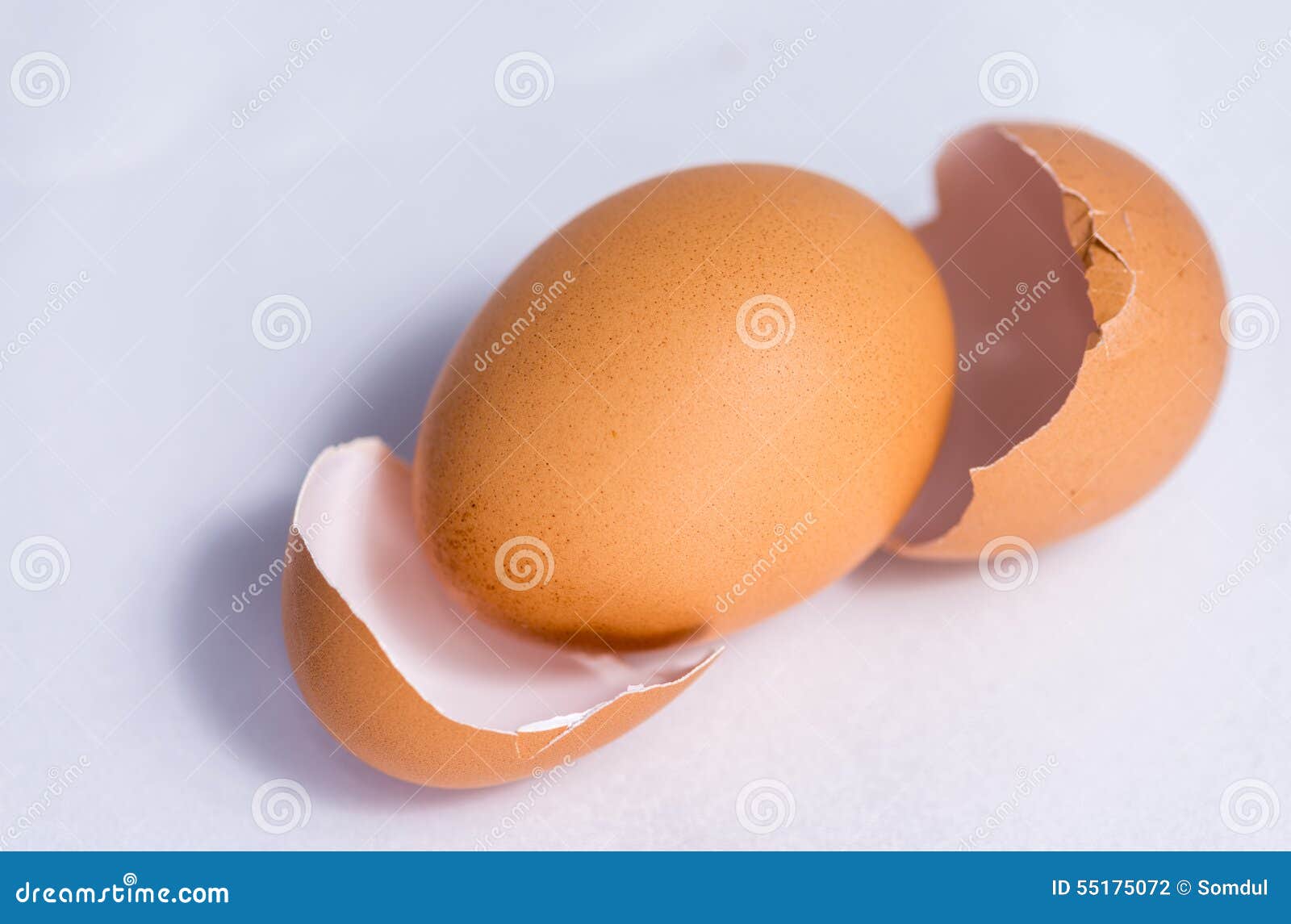 Egg and shell stock photo. Image of isolated, broken - 55175072