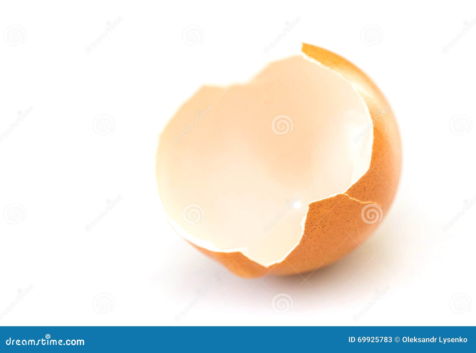Egg shell closeup stock image. Image of nature, fresh - 69925783