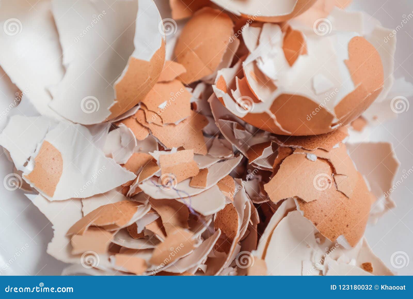 Egg Shell Cracked on White Background Stock Photo - Image of textured ...