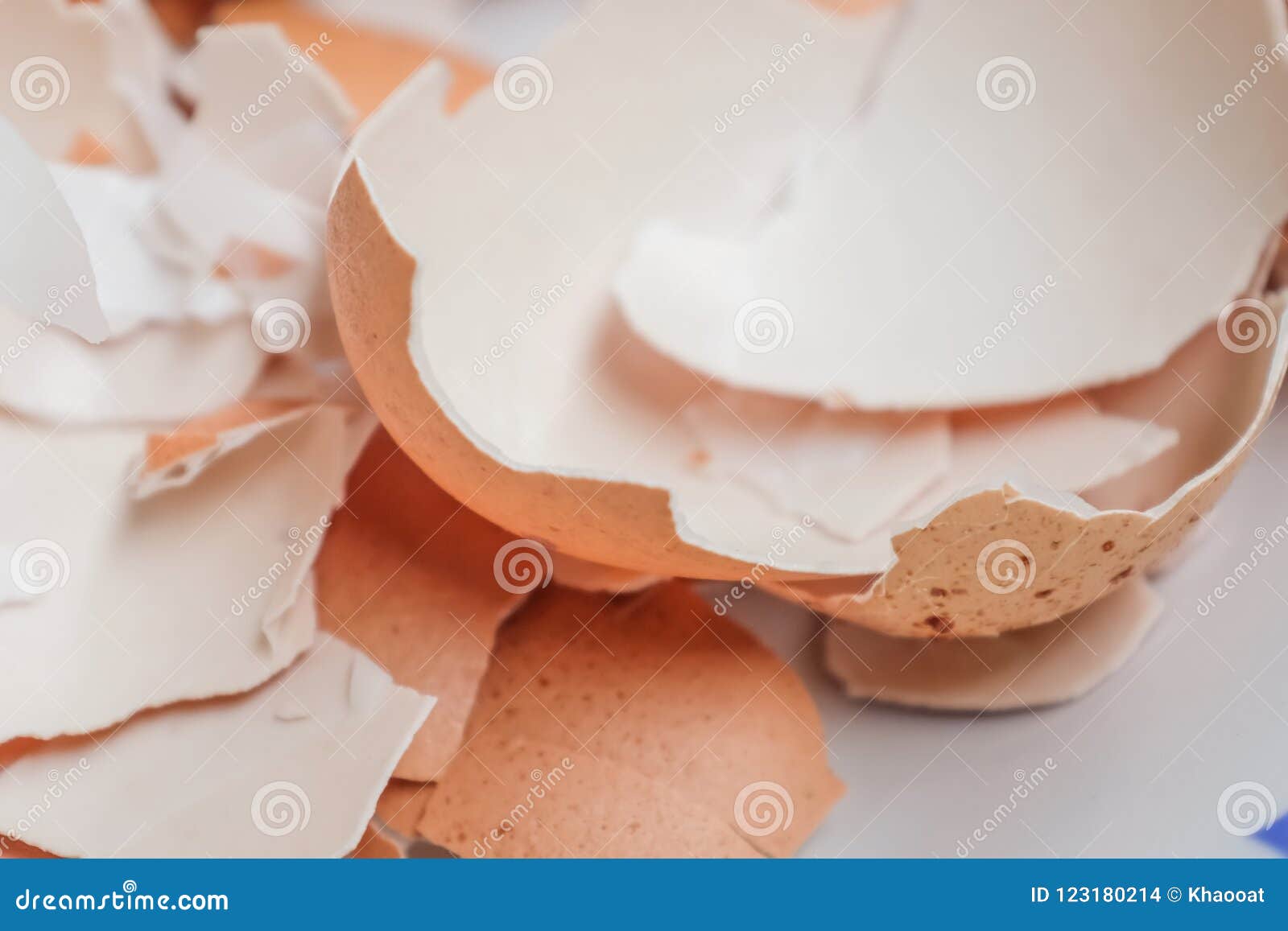 Egg Shell Cracked on White Background Stock Photo - Image of closeup ...