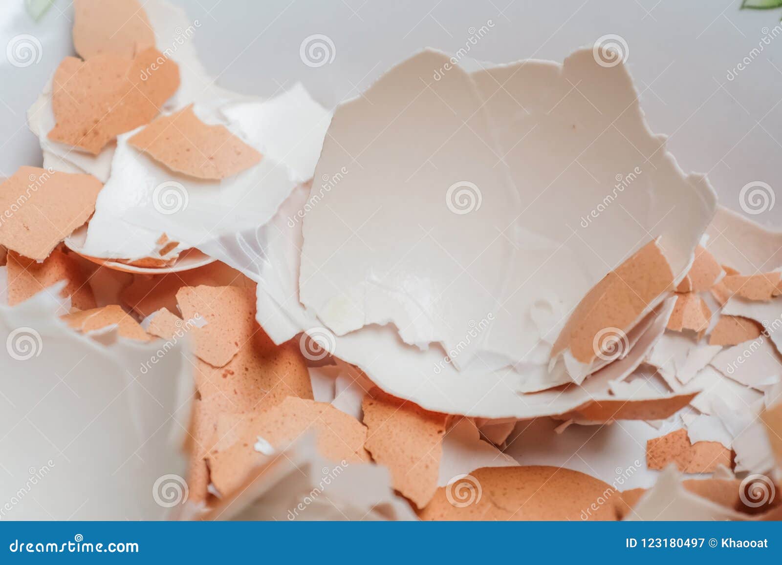 Egg Shell Cracked on White Background Stock Image - Image of shells ...