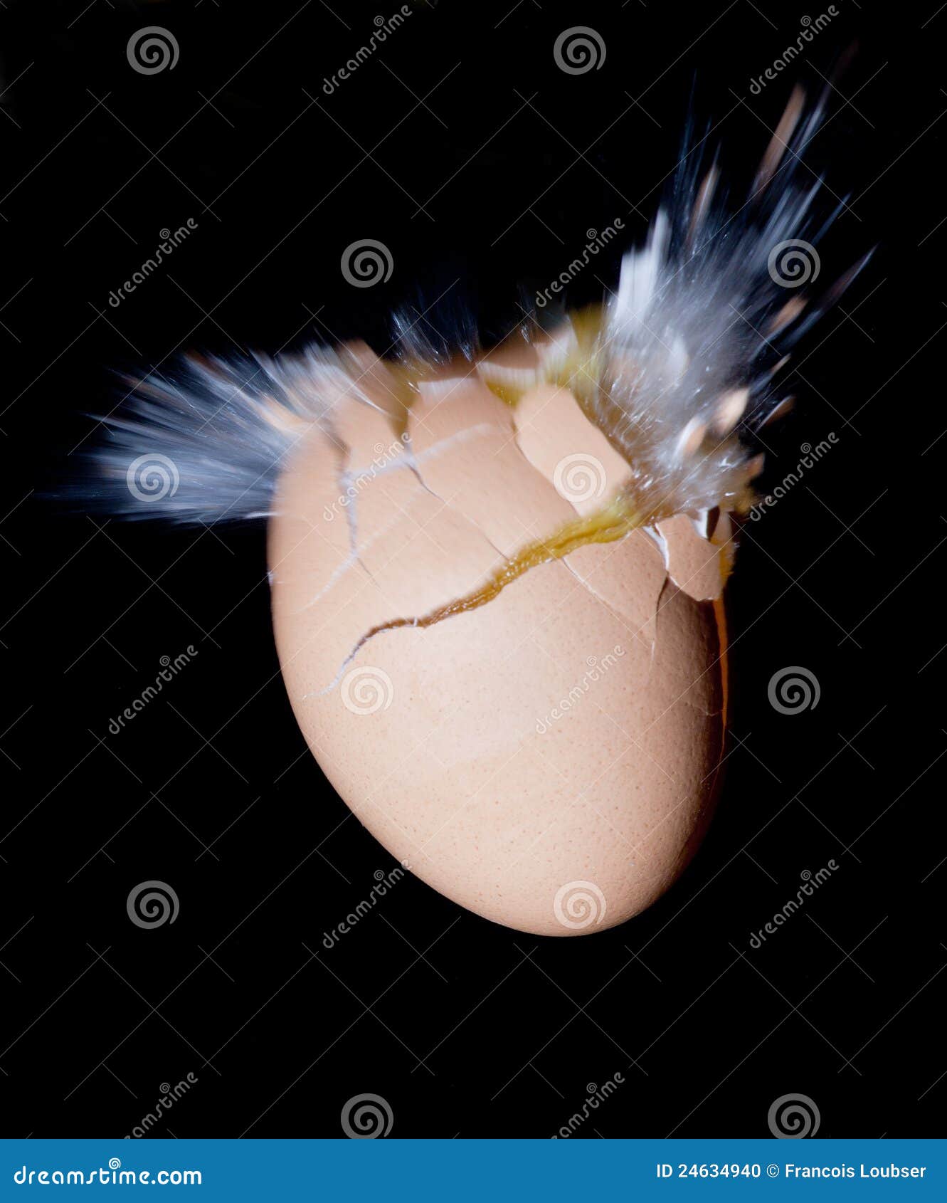Egg shell cracking stock photo. Image of cracking, single - 24634940