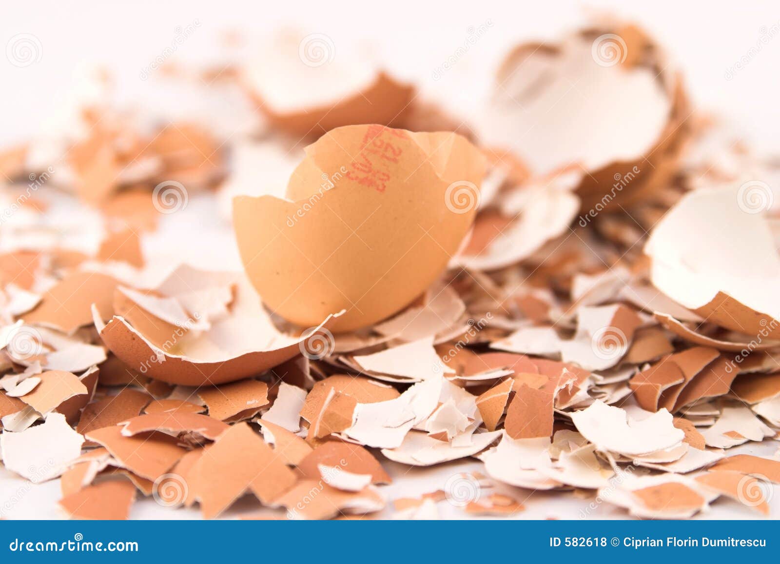 Egg Shell Crashed Close stock photo. Image of date, piece - 582618