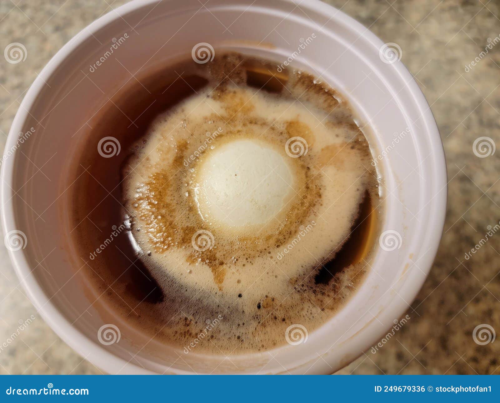 Egg Dissolved in Plastic Cup of Vinegar on Counter Stock Photo - Image ...