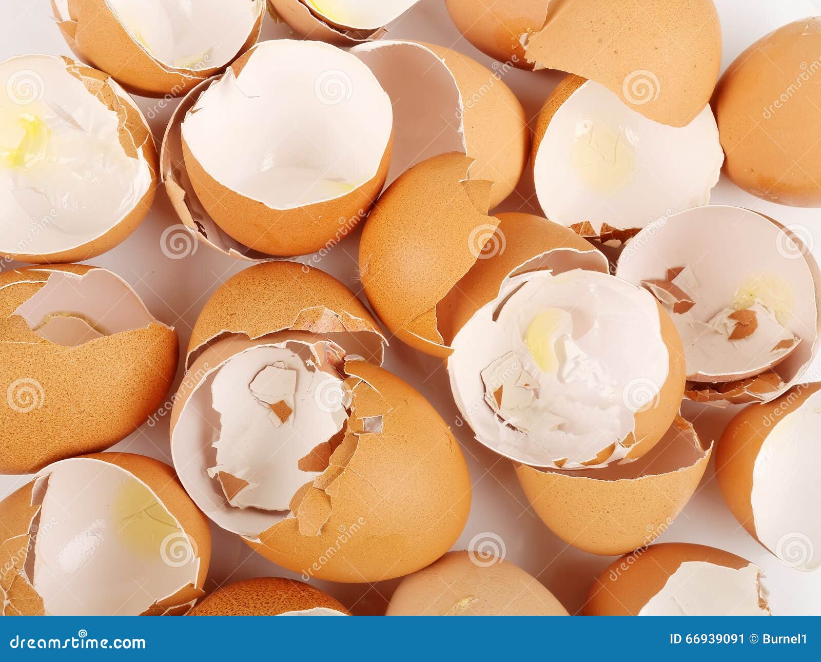 Egg shell stock image. Image of group, shell, dairy, bunch - 66939091