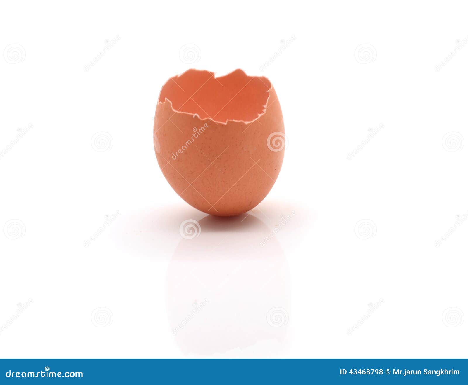 Egg shell stock photo. Image of organic, protein, open - 43468798