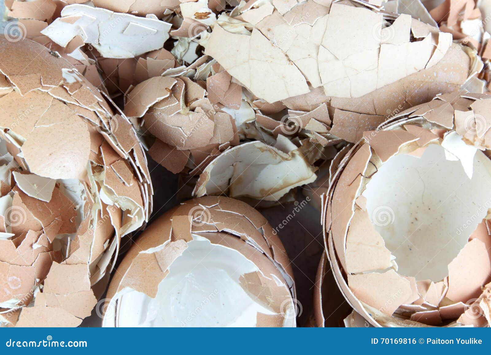 Egg shell many lot stock photo. Image of background, eggshell - 70169816