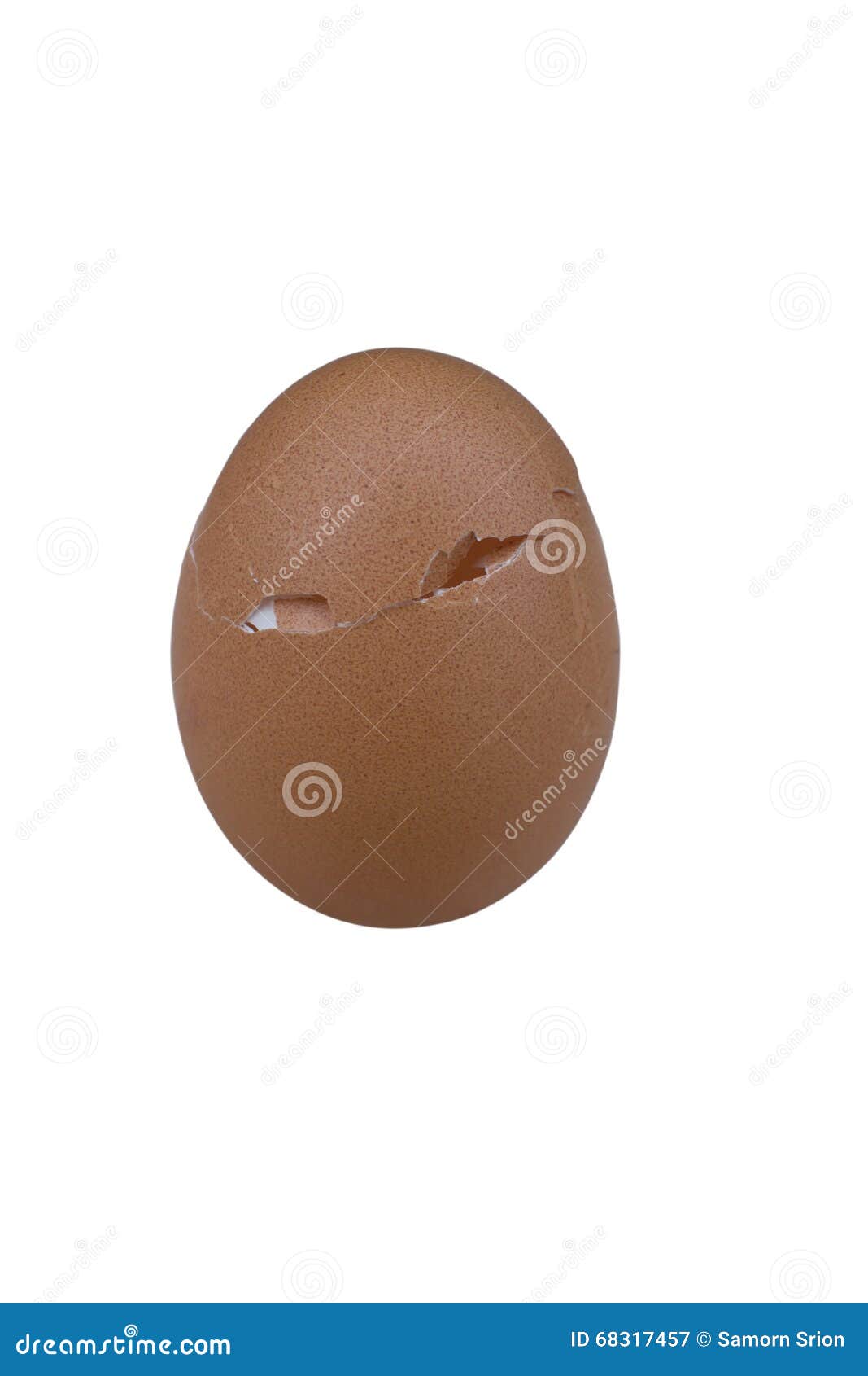Egg Shell Opening Isolated on White Background Stock Image - Image of ...