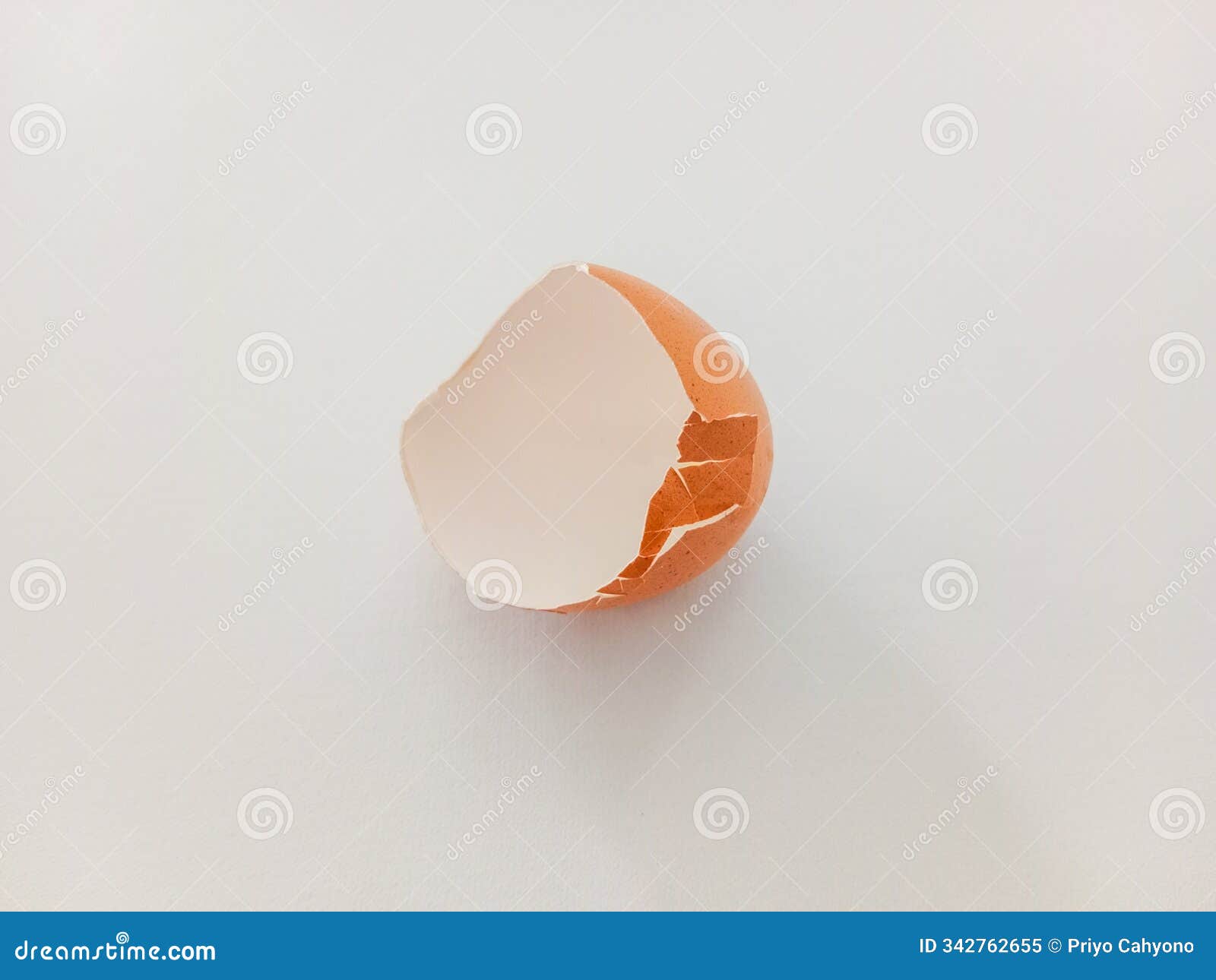 The Egg Shell is the Outermost Layer of the Egg. this Layer Can Have a ...