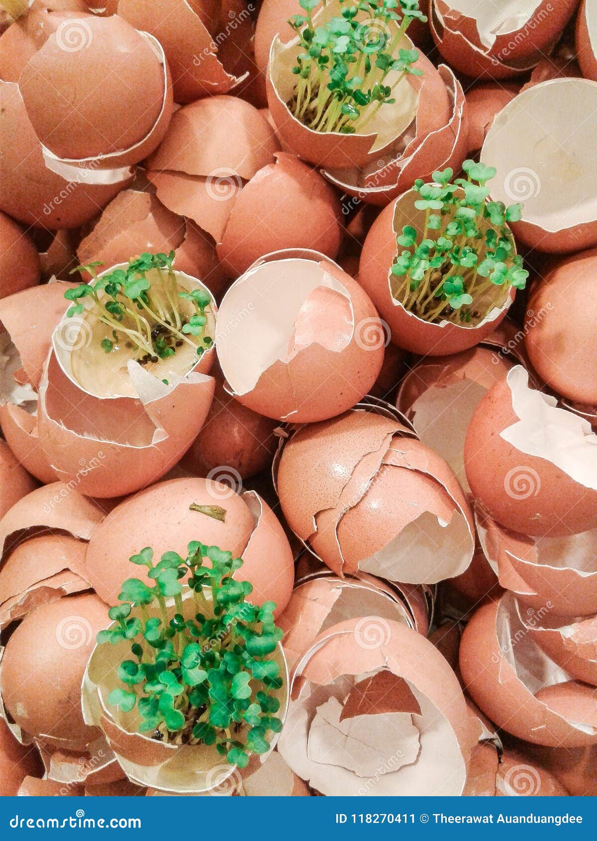 Egg Shell Stack Together a Lot Stock Image - Image of background, stack ...