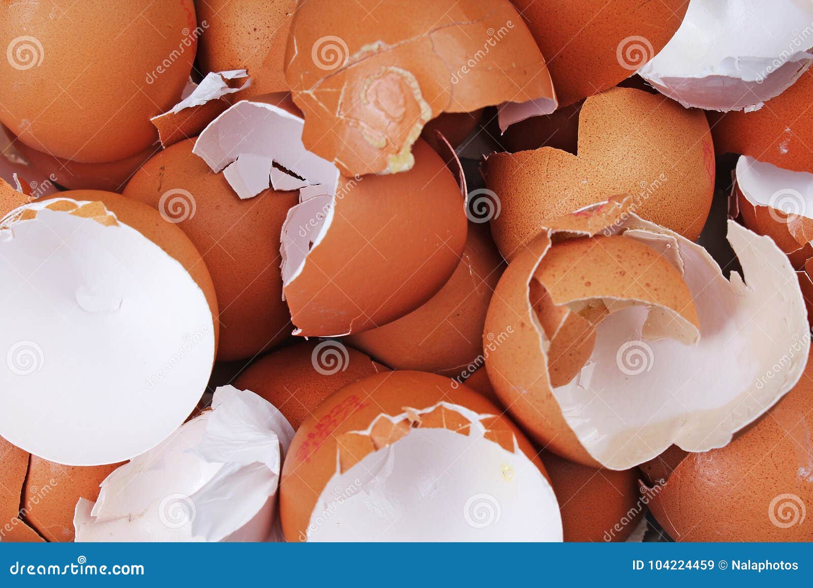 Egg Shell Texture. Brown Eggs As Background. Egg Shells Photography in ...