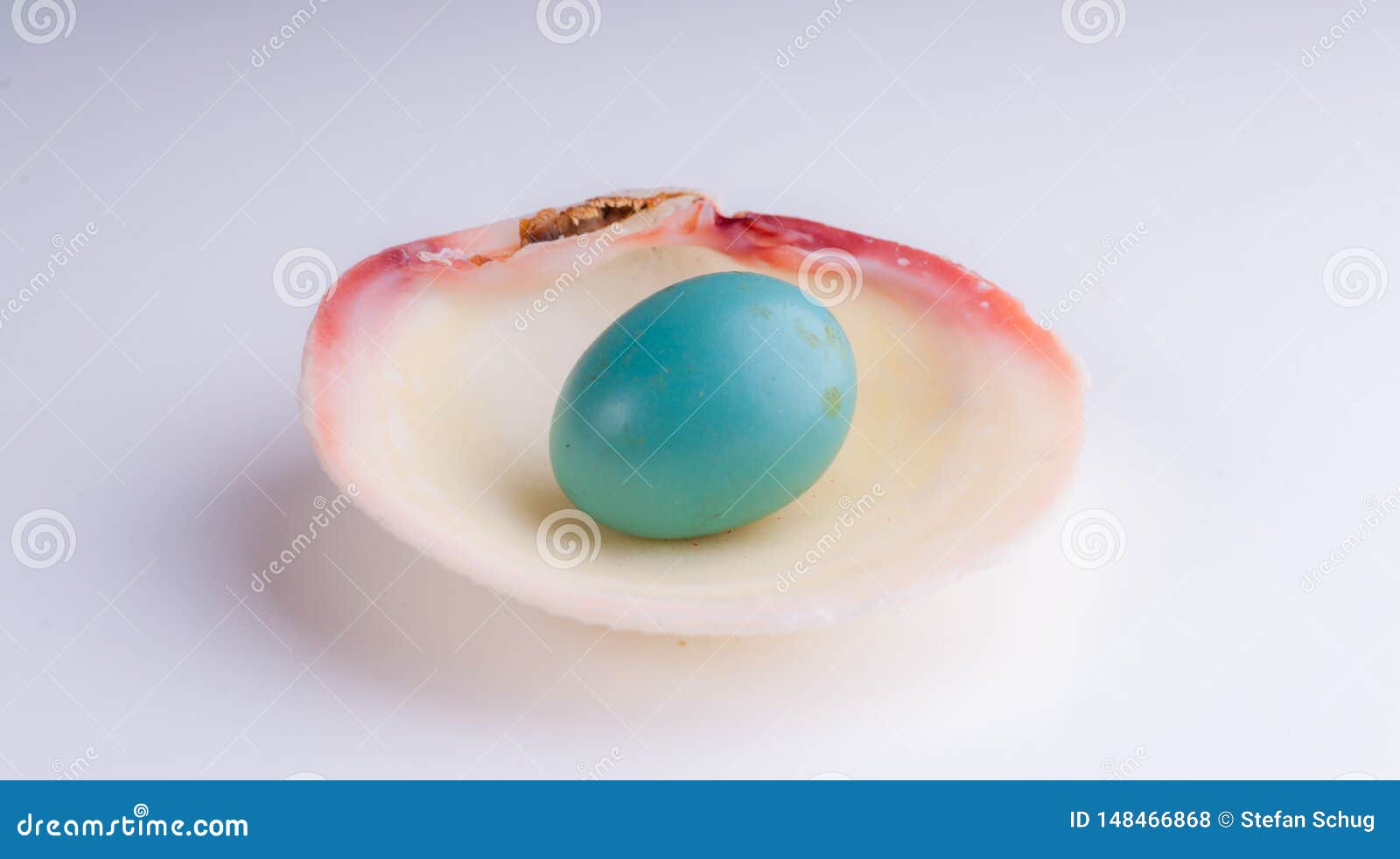 Egg in a Shell stock photo. Image of rouge, isolation - 148466868