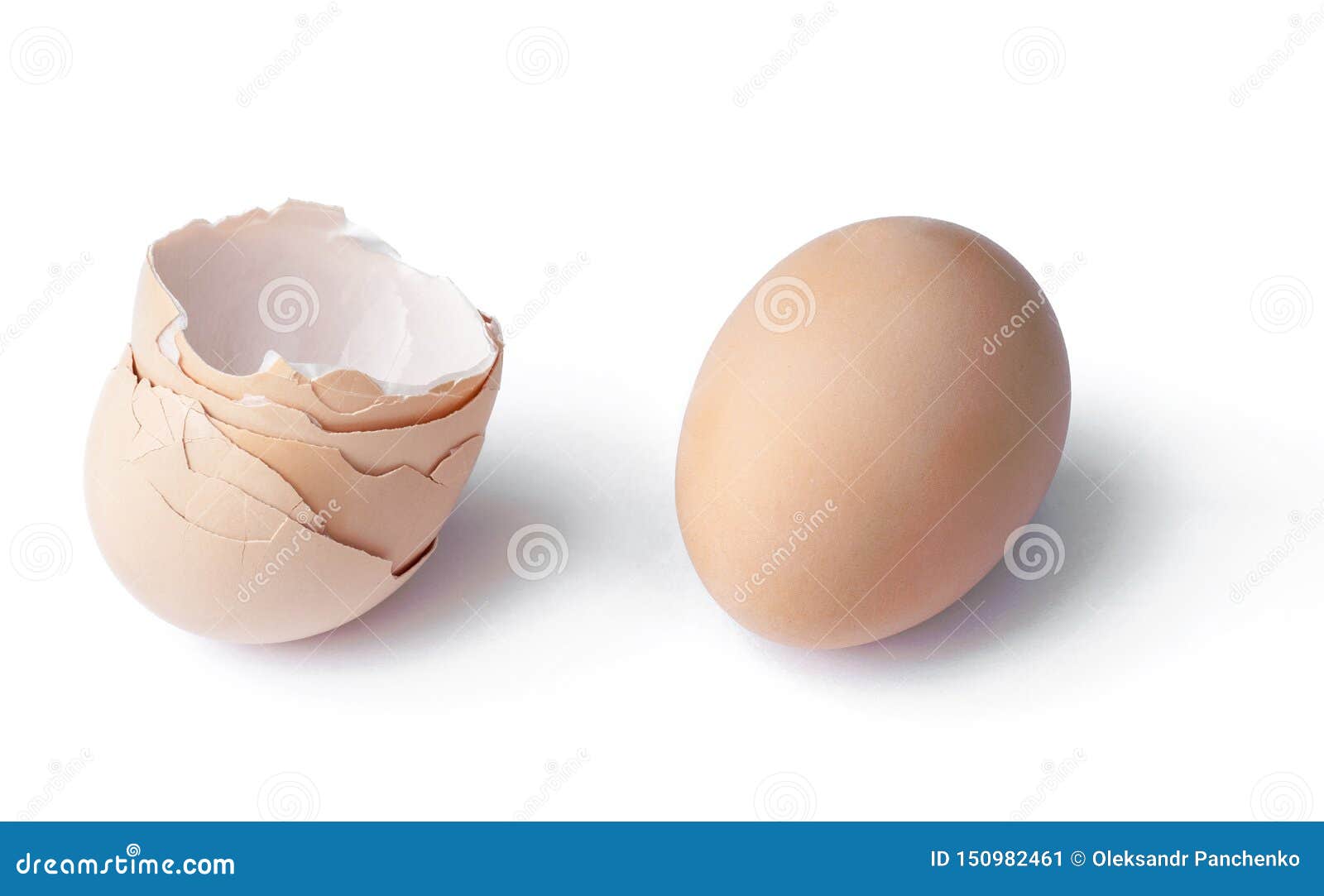 Egg Shell with Egg on White Background Stock Image - Image of beginning ...