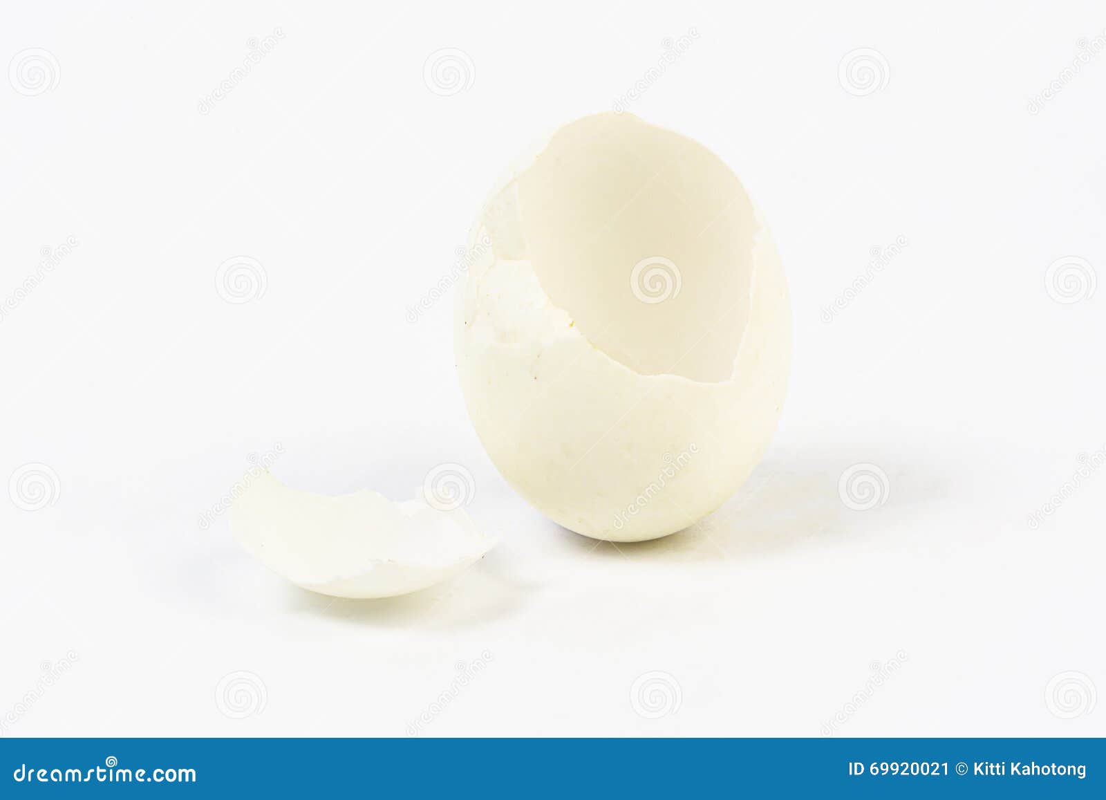 Egg Shell on White Background Stock Image - Image of concept, chance ...