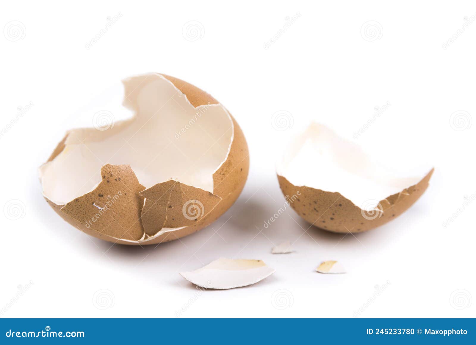 The Egg Shell on a White Background Stock Photo - Image of farm ...