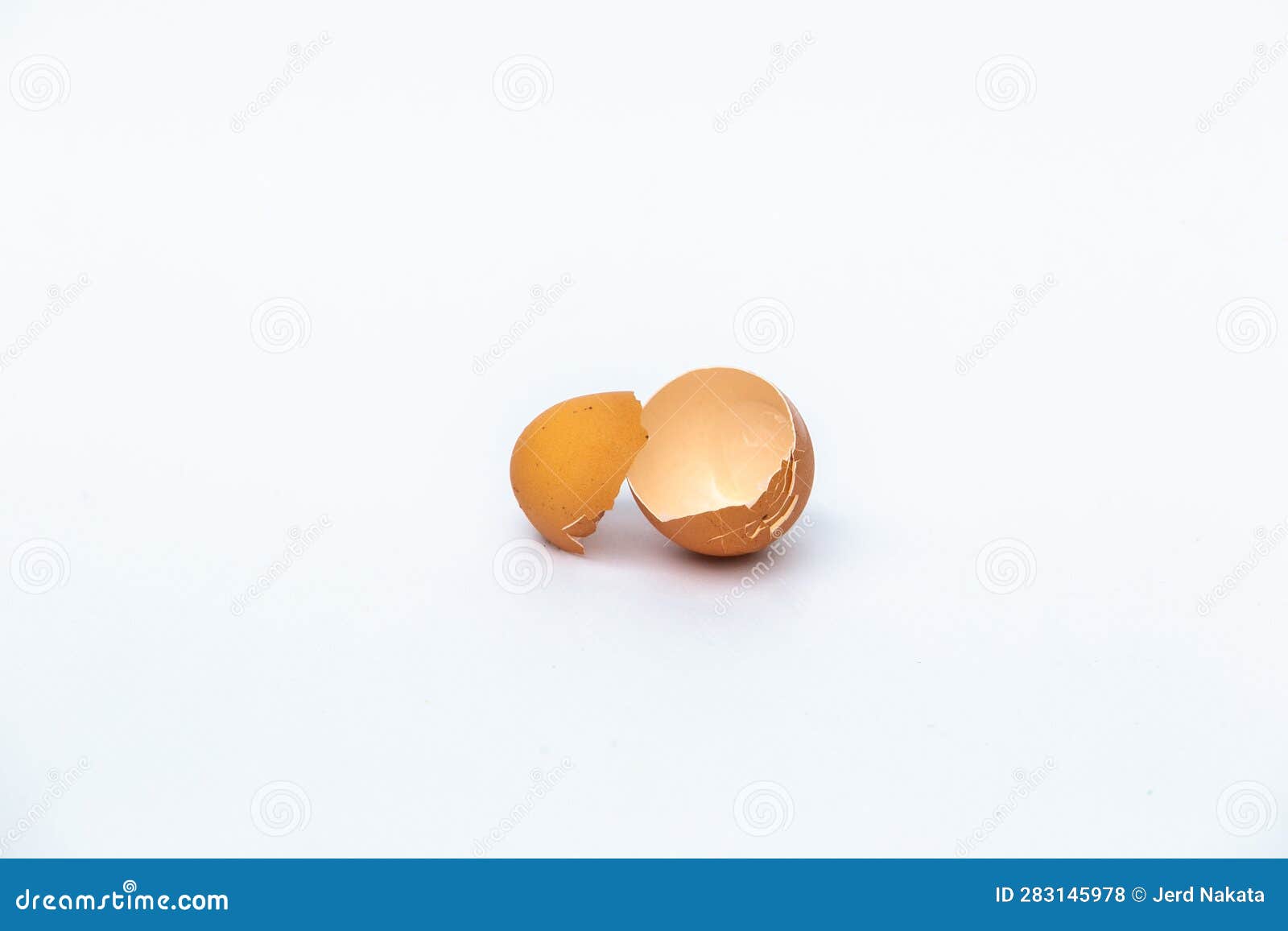 Egg Shell on White Background Stock Photo - Image of botany, peel ...