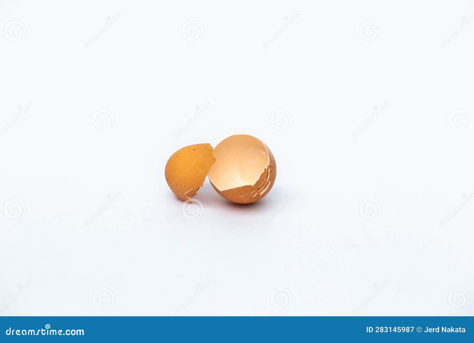 Egg Shell on White Background Stock Image - Image of handle, plant ...