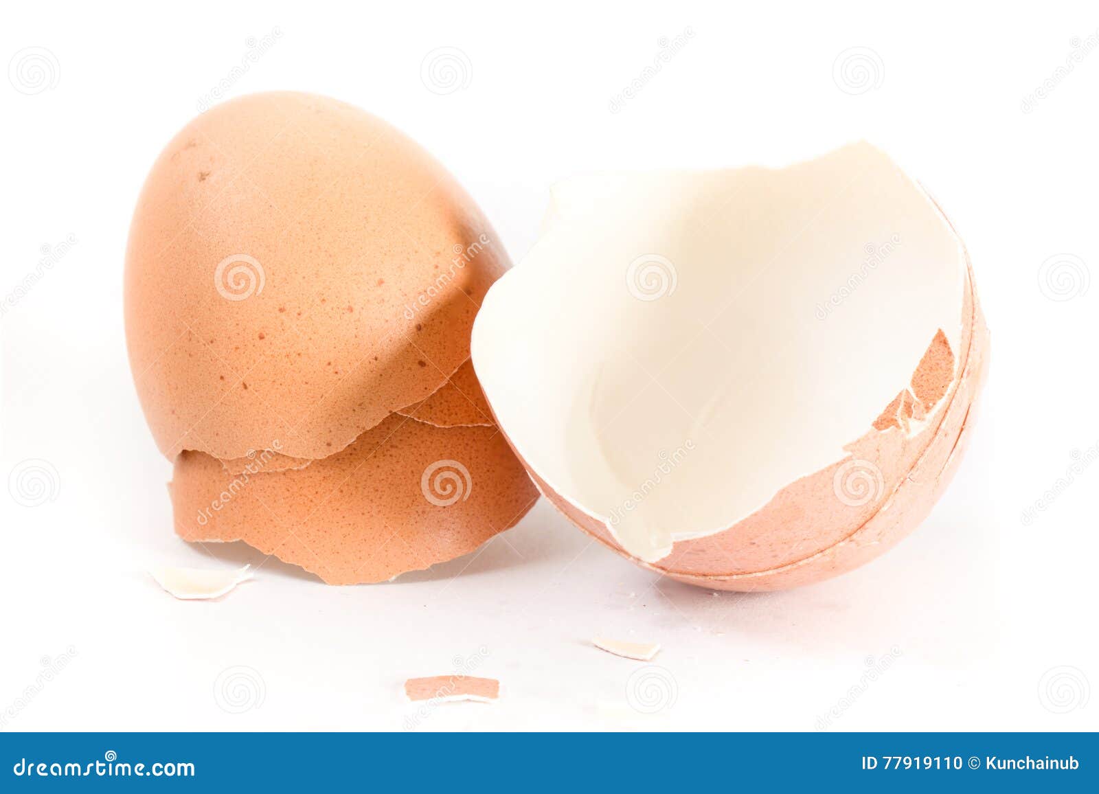 Egg Shell on White Background Stock Photo - Image of healthy, close ...