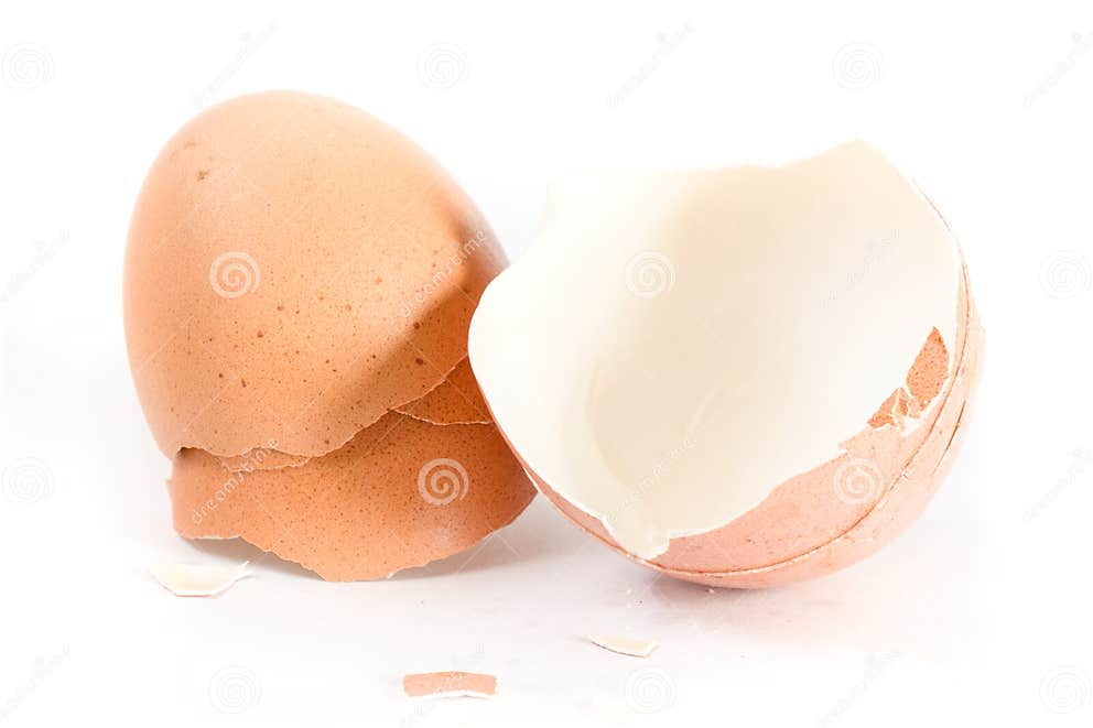 Egg Shell on White Background Stock Photo - Image of healthy, close ...