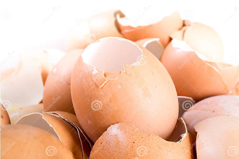 Egg Shell on White Background Stock Photo - Image of life, healthy ...