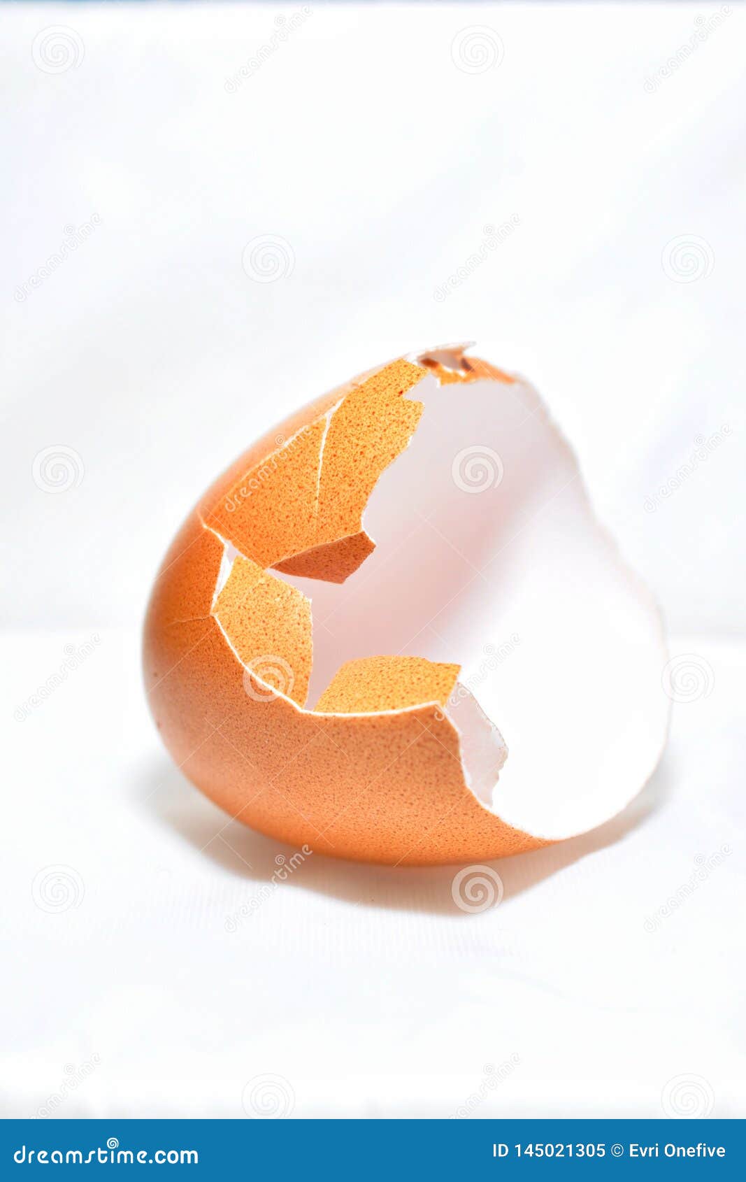 Egg Shell on White Background Stock Image - Image of blue, brown: 145021305