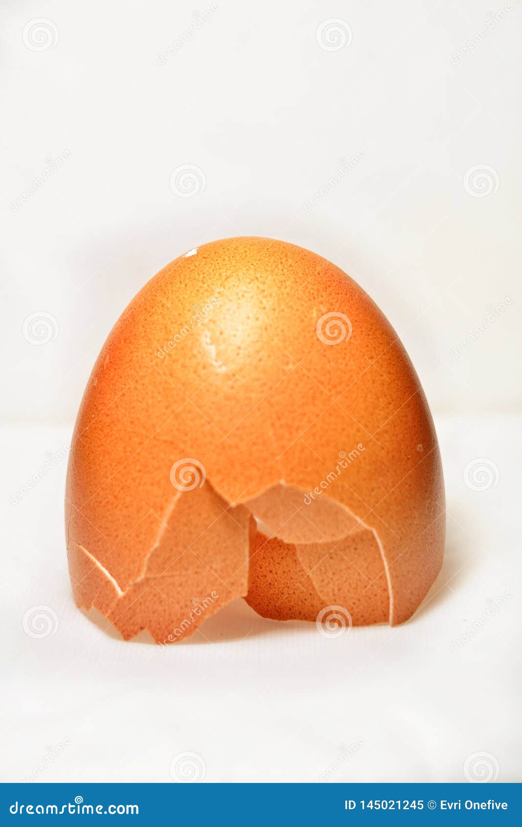 Egg Shell on White Background Stock Image - Image of celebration ...