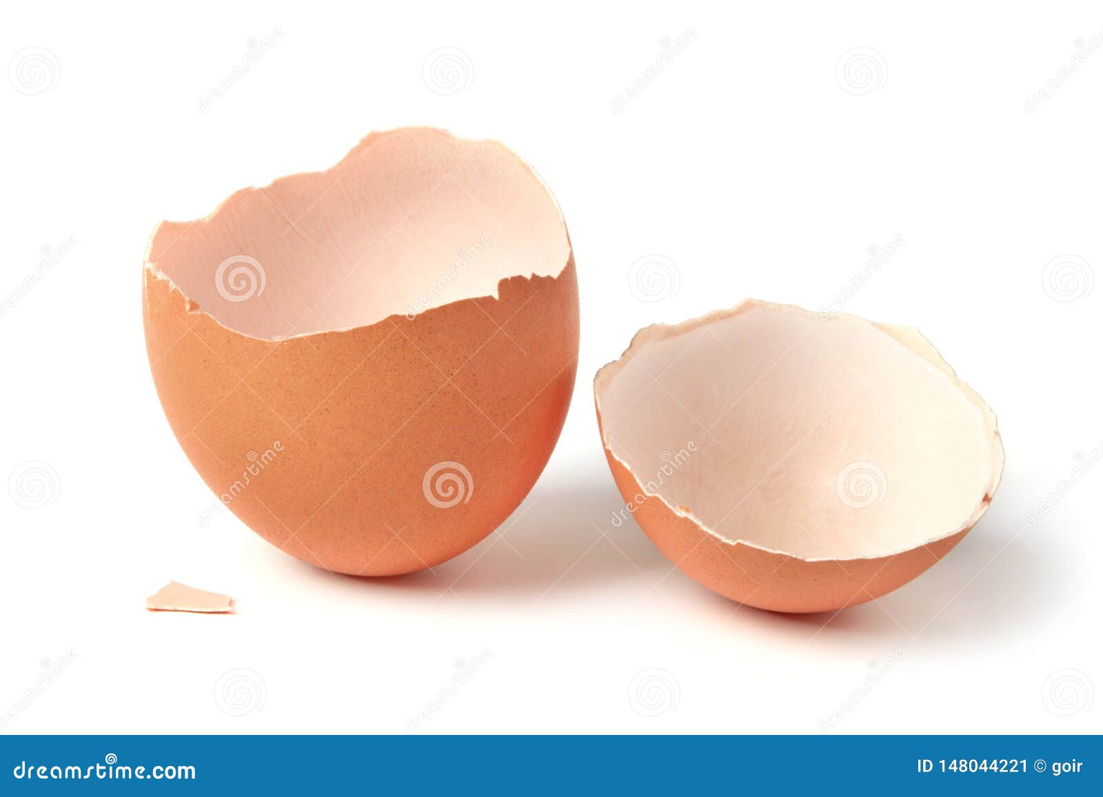 Egg shell on white stock image. Image of fragility, healthy - 148044221