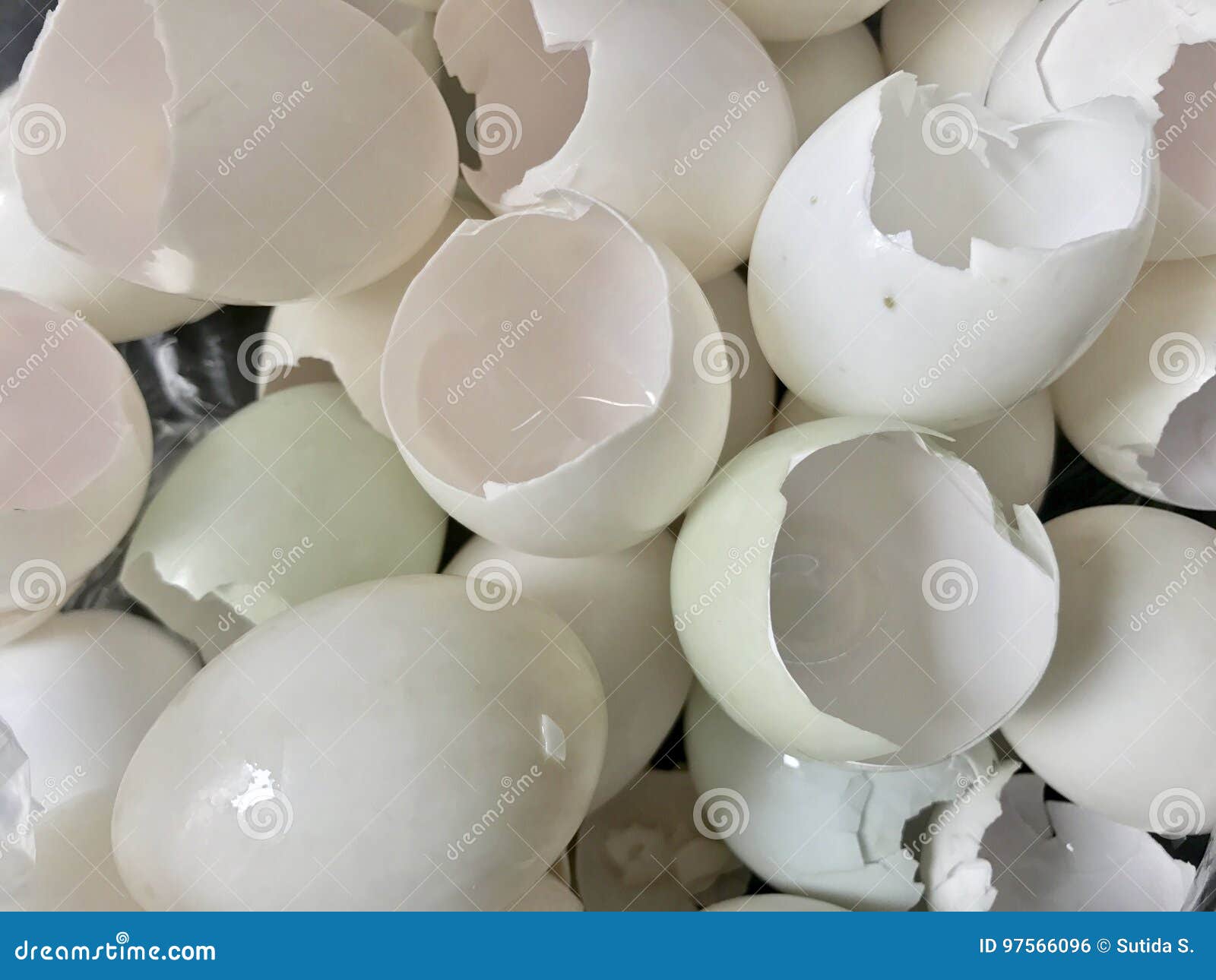 Egg shell stock photo. Image of hatched, backdrop, natural - 97566096