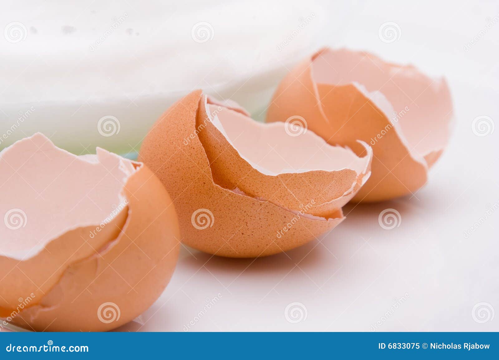 Egg Shells stock image. Image of plate, shells, stiff - 6833075