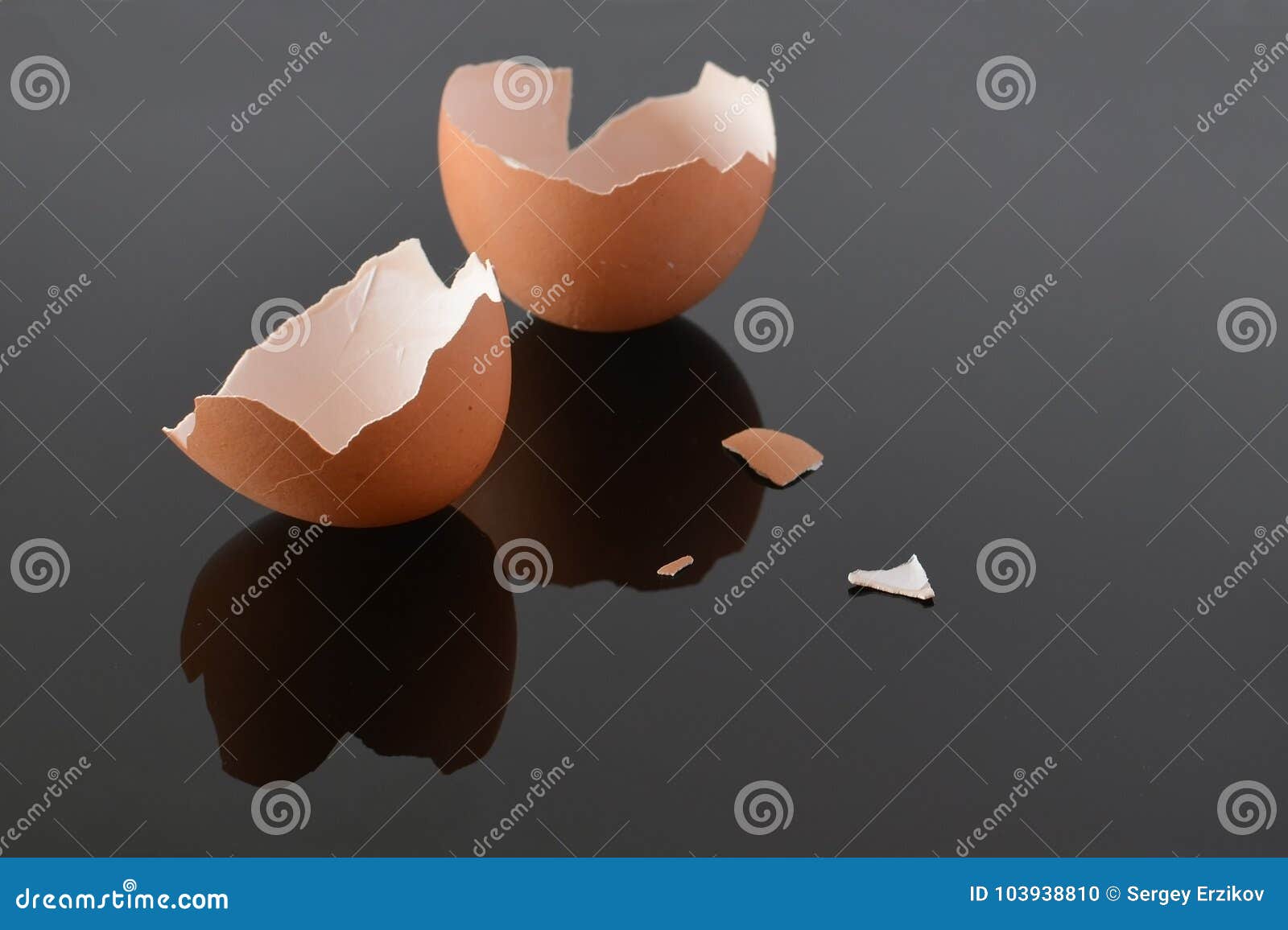 Egg Shells on a Black Background Stock Photo - Image of abstract ...